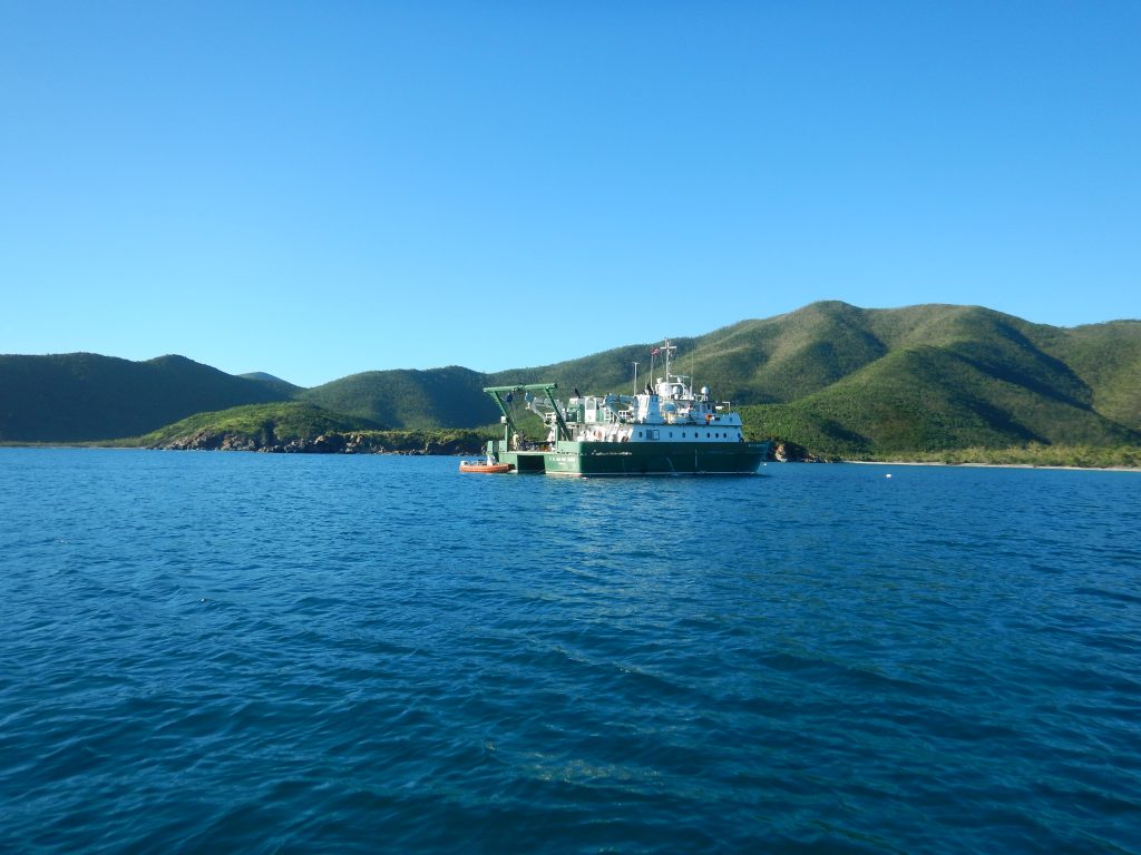 Diving in the wake of a hurricane – Broader Impacts Group