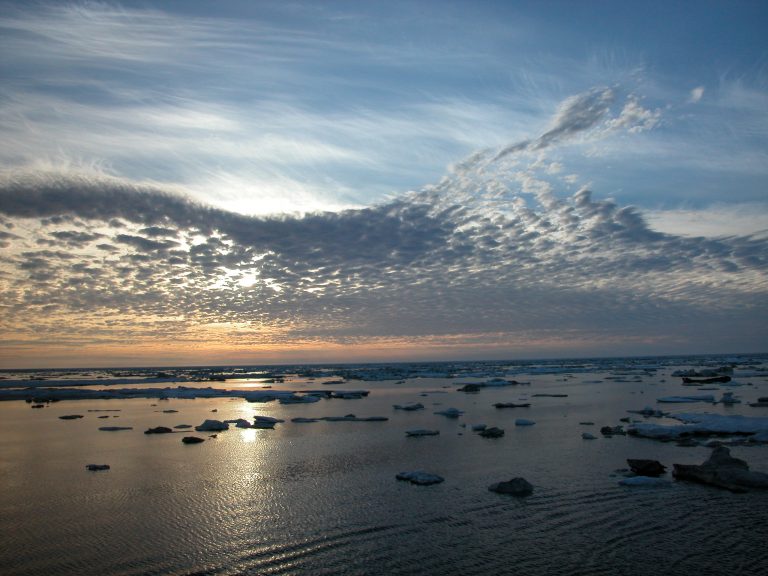 Where’s the beef? Environmental implications of your next dinner ...