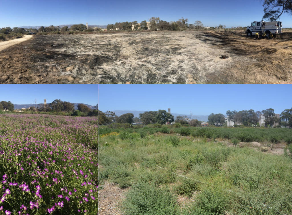 Disturbance and Resilience in Ecosystems – Broader Impacts Group