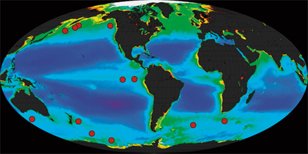 Science Background – Ocean Fertilization