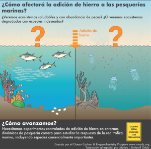 Infographic on Ocean Fertilization – Ocean Fertilization