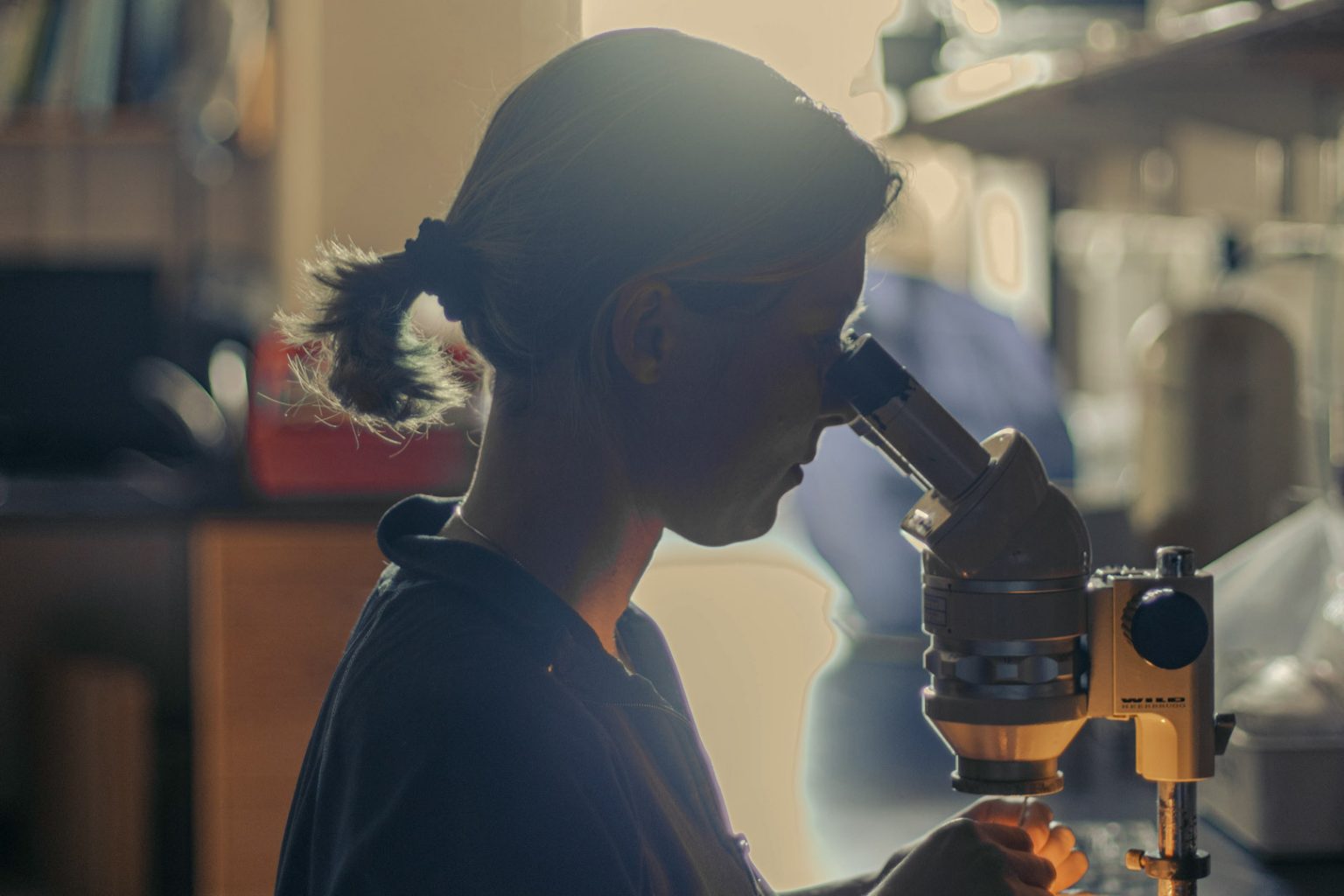 Today is the U.N. International Day of Women and Girls in Science ...